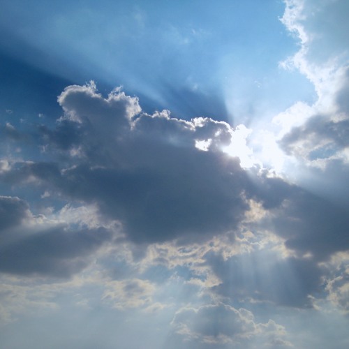 Discography - HUGO LEE